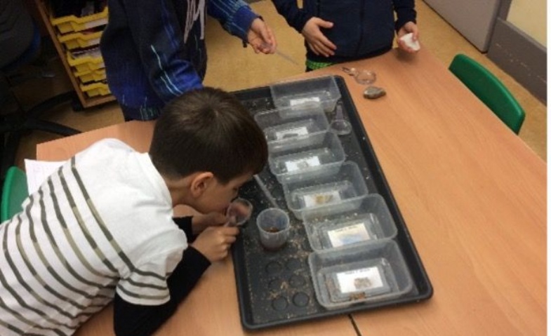 Tetherdown School - Year 5&6 Primary Maths Challenge