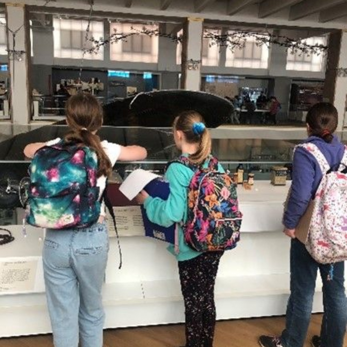 Tetherdown School - Year 6 Science Trip