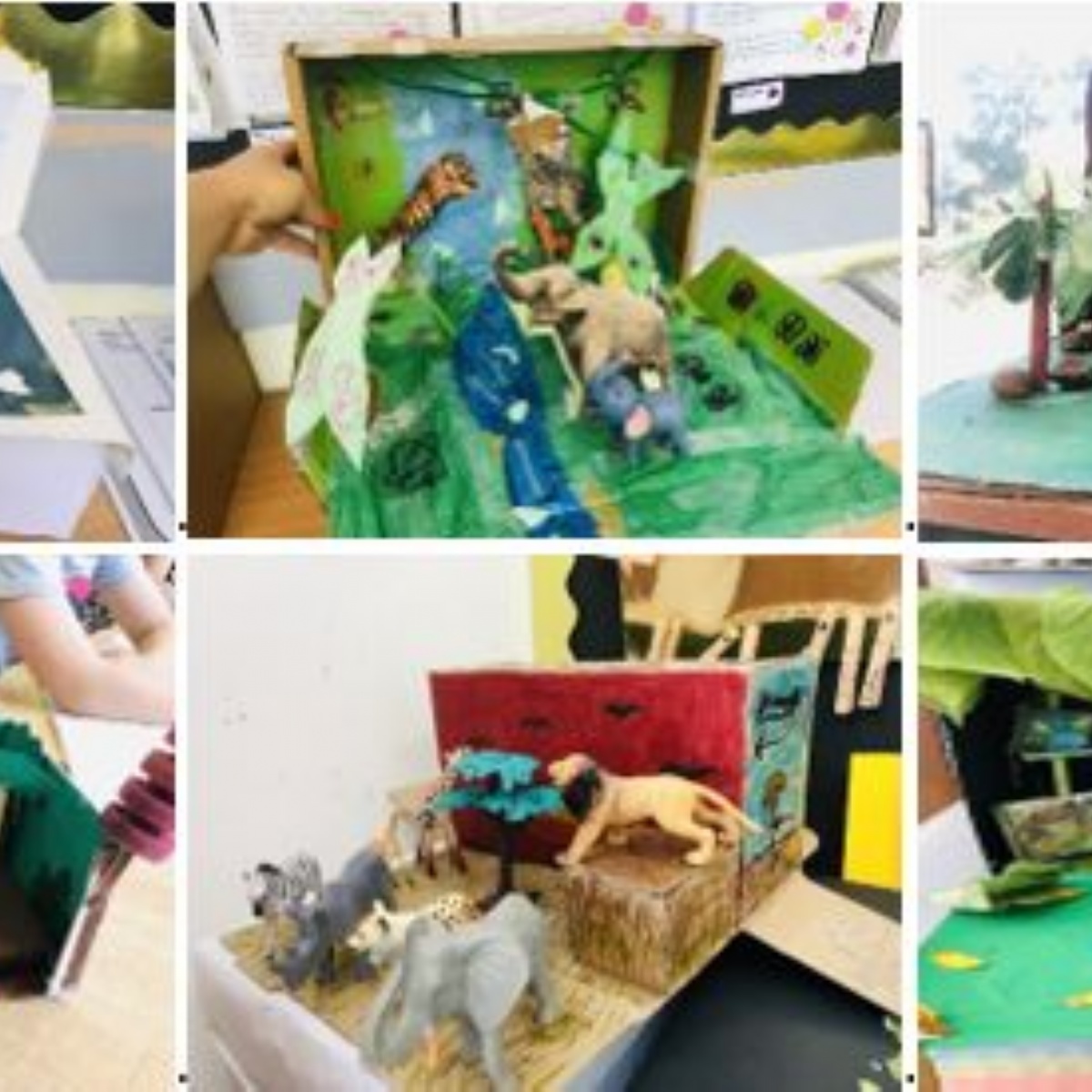 Tetherdown School - Year 3 - Climate & Biomes' Project