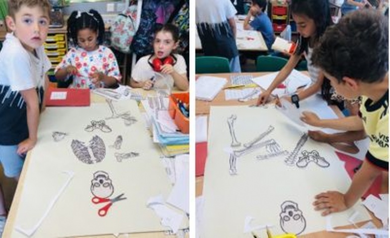 Tetherdown School - Year 3 - Human Skeleton
